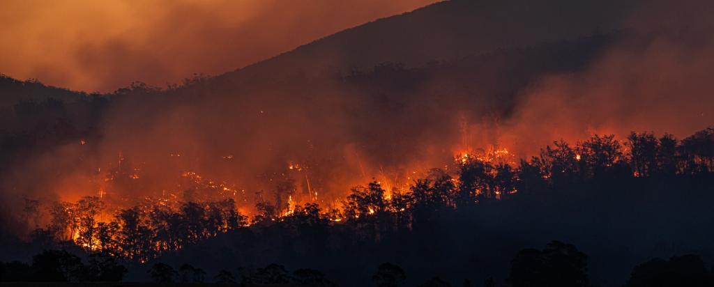 Site-wide emergency evacuation exercise held | ANSTO